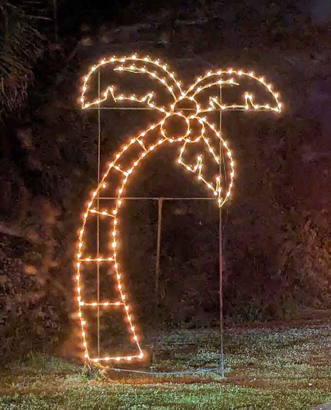 Even the palm trees get dressed up for the holidays in Florida, because why should pine trees have all the fun?