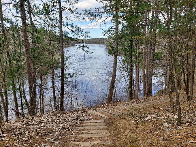 The mighty Mississippi flows silently past ancient pines, carrying stories downstream just as it did for frontier traders.