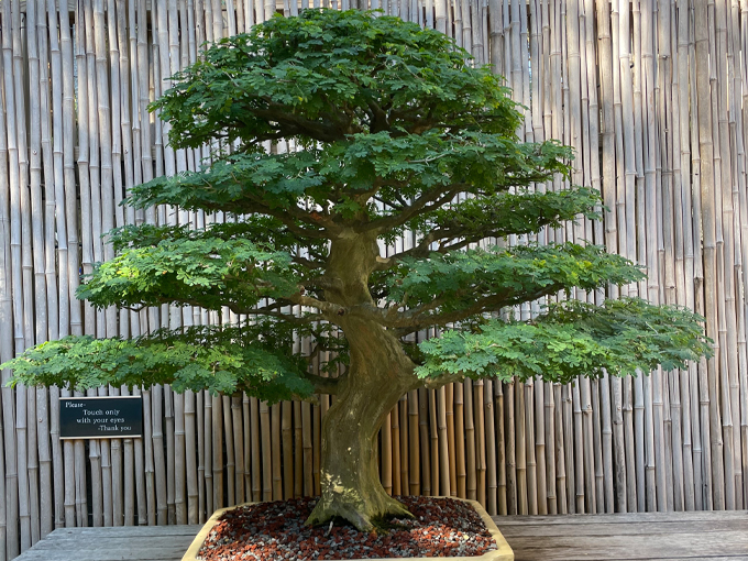 525 mile roadtrip florida 4