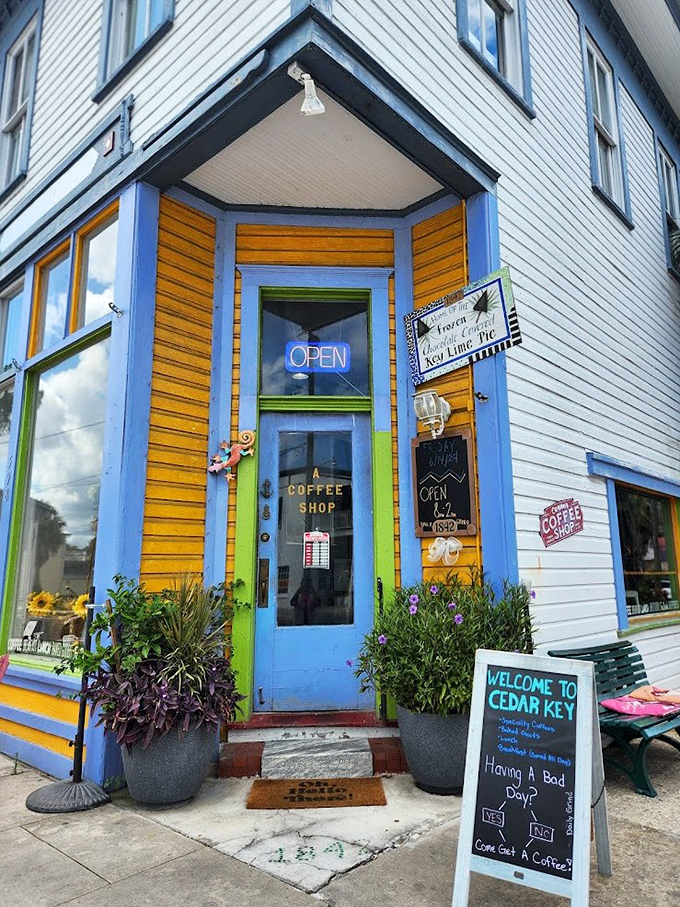 The cheerfully painted 1842 Daily Grind & Mercantile welcomes visitors with a riot of colors and charming details that capture Cedar Key's laid-back island vibe.
