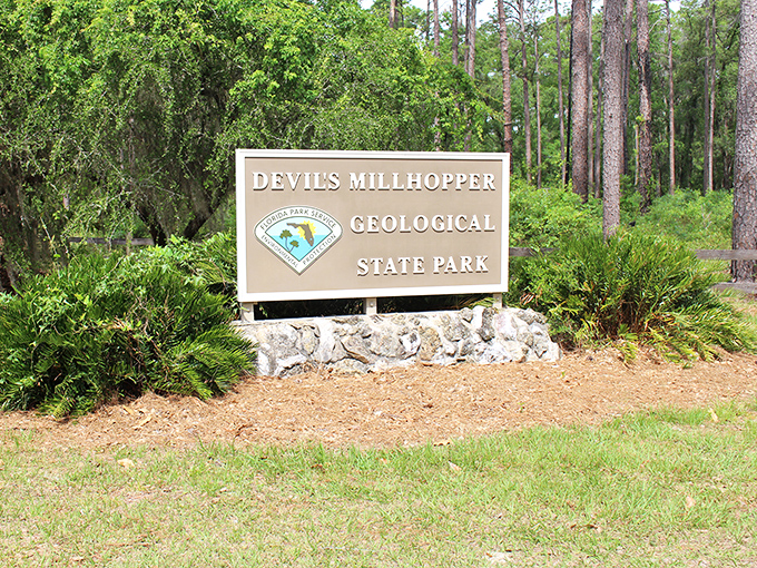 Devil's Millhopper's entrance sign gives little hint of the geological wonder that lies beyond. This unassuming marker leads to one of Florida's most unique natural formations.