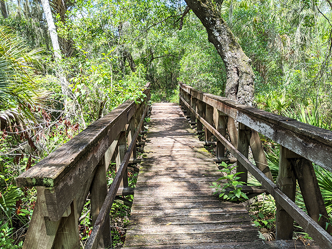 Little Manatee River State Park's weathered wooden bridge blends perfectly with its surroundings, creating a peaceful crossing where Spanish moss frames the path ahead.