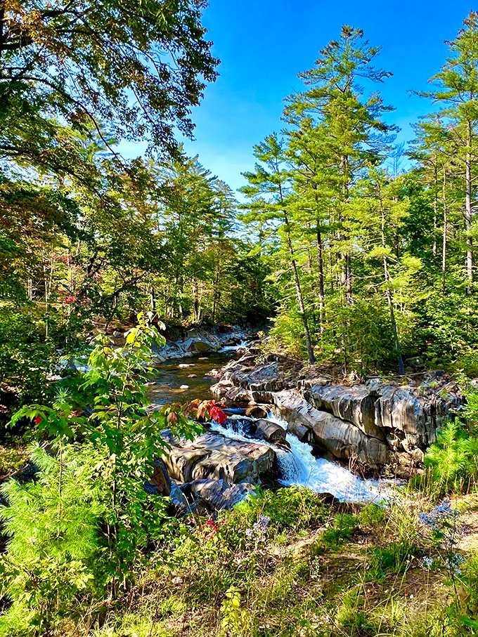 The emerald waters of Coos Canyon flow between walls of iron-rich rock, creating a colorful natural playground for swimmers and sunbathers.