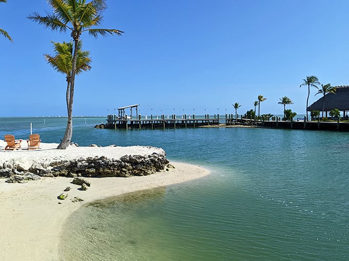 Islamorada's protected bays offer waters so clear and calm, they're practically begging you to jump in and forget about deadlines.