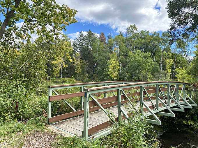 This wooden boardwalk floats above wetland wonders, inviting visitors to venture into ecosystems usually reserved for herons and dragonflies.