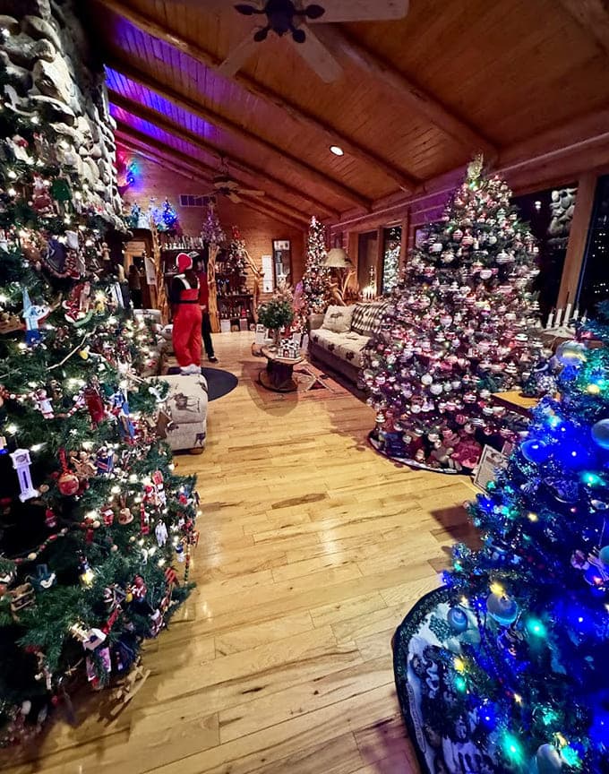 Tree-lined avenues have nothing on this room. More Christmas trees than a forest ranger can count, each one competing for your attention.