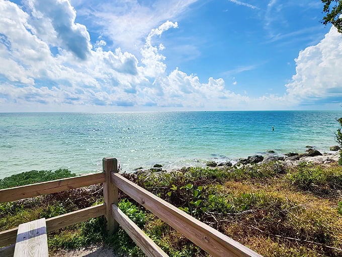 Enjoy a stunning scenic view at Bahia Honda, where vibrant shades of blue blend seamlessly between the Atlantic and the Gulf.