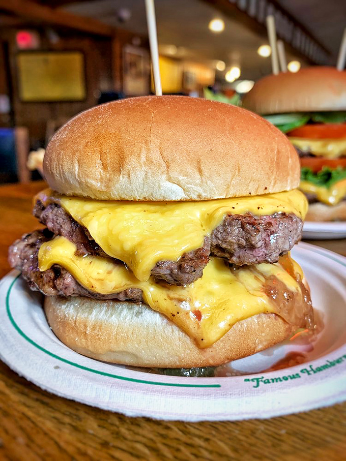The Double Cheeseburger &ndash; architectural marvel, flavor explosion, and the reason pants with elastic waistbands were invented.