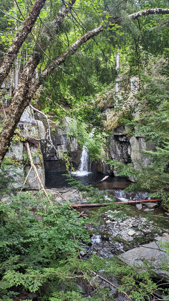 Sunlight filters through the canopy, illuminating this hidden waterfall tucked between moss-covered walls like a scene from a forgotten fairytale.