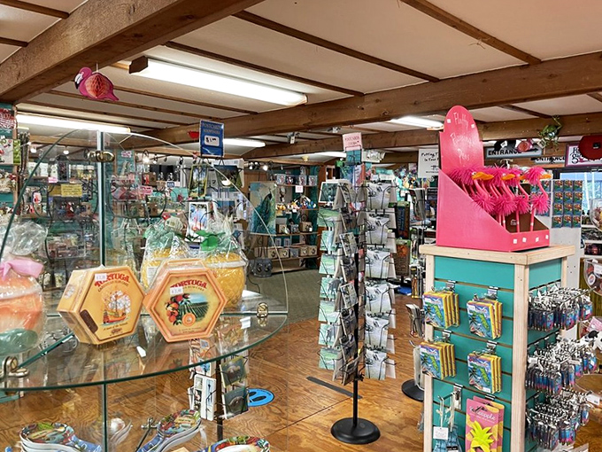 The gift shop tempts visitors with treasures that promise to bring Florida magic home. Those flamingo figurines are practically jumping into shopping bags!