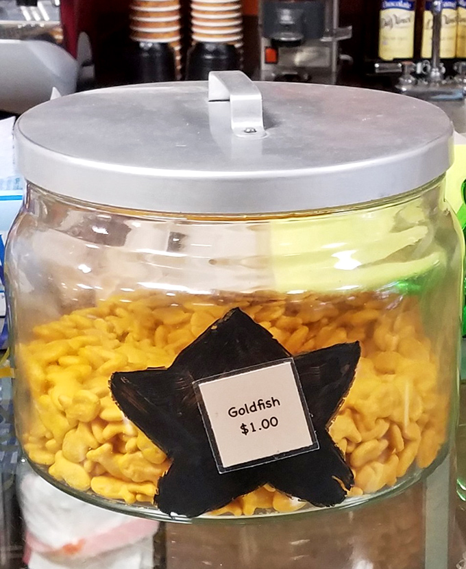 The classic goldfish crackers await their fate in a charming jar – childhood's favorite orange snack, ready for tiny grabbing hands.