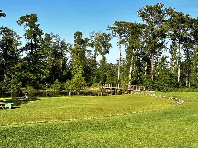The grassy fields and wooden bridge above ground are lovely, but the real party's happening underground.