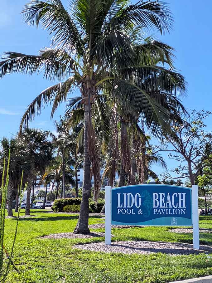Lido Beach offers another slice of paradise where dolphins show up more regularly than your unreliable friend from college.