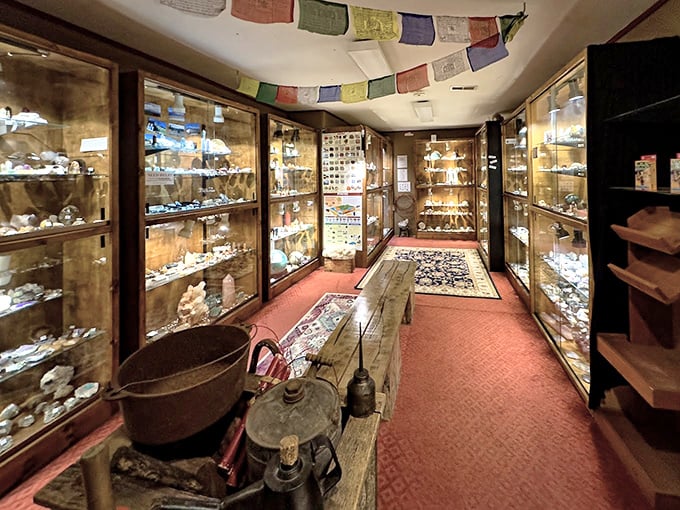 Walking down this aisle feels like entering a natural history museum where you're actually allowed to touch (and buy) the exhibits.