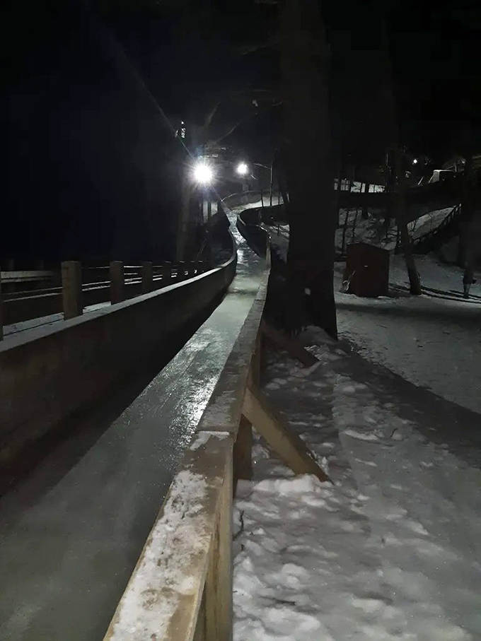 Night transforms the luge into a magical journey, with lights guiding sledders through the darkness like an enchanted forest path.