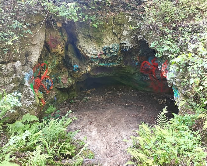 Nature's welcome mat has some colorful additions. Ferns frame this cave entrance where street art meets geological wonder.