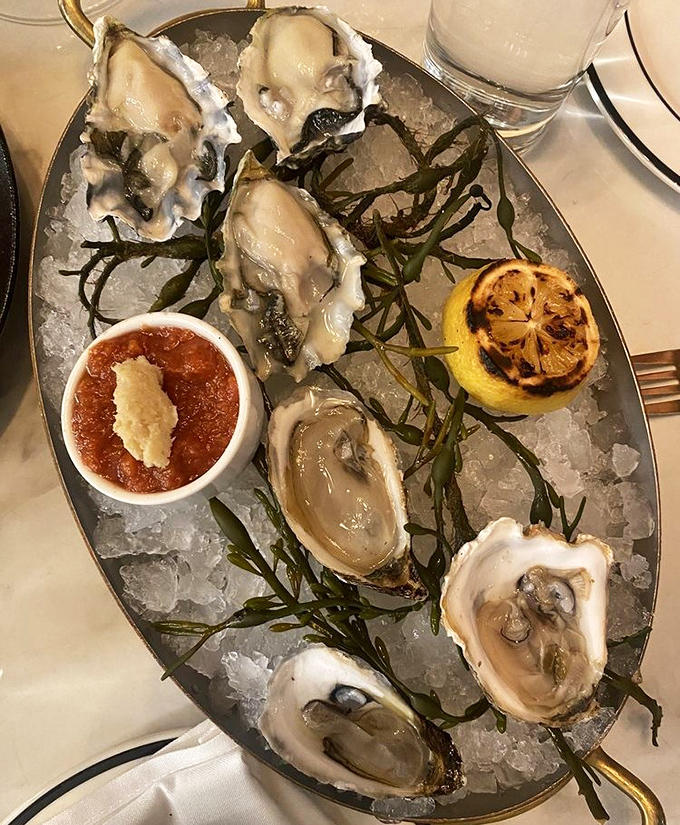 Ocean jewels nestled on ice, these briny beauties come with all the accoutrements for a perfect first bite.