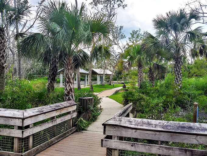 Palm trees stand sentinel along pathways that lead to shaded picnic areas, perfect for post-swim sandwiches and stories.