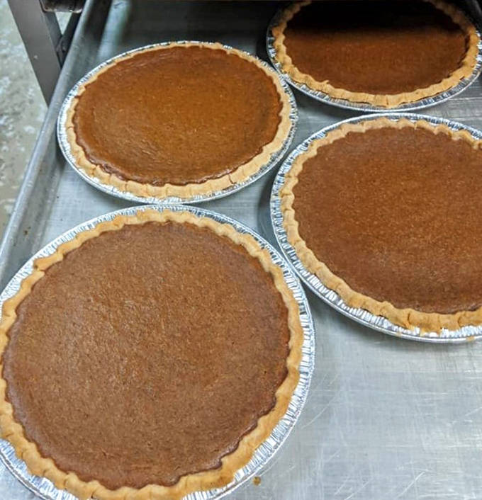 Pumpkin pies lined up like autumn soldiers, their perfectly crimped edges and caramel-colored filling promising Thanksgiving in every bite.