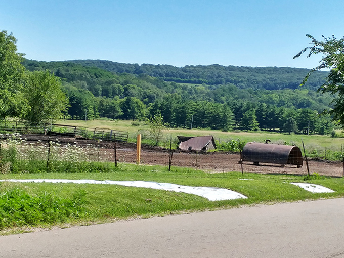 Beyond the mound, rolling Wisconsin farmland stretches toward the horizon, looking much as it might have centuries ago.