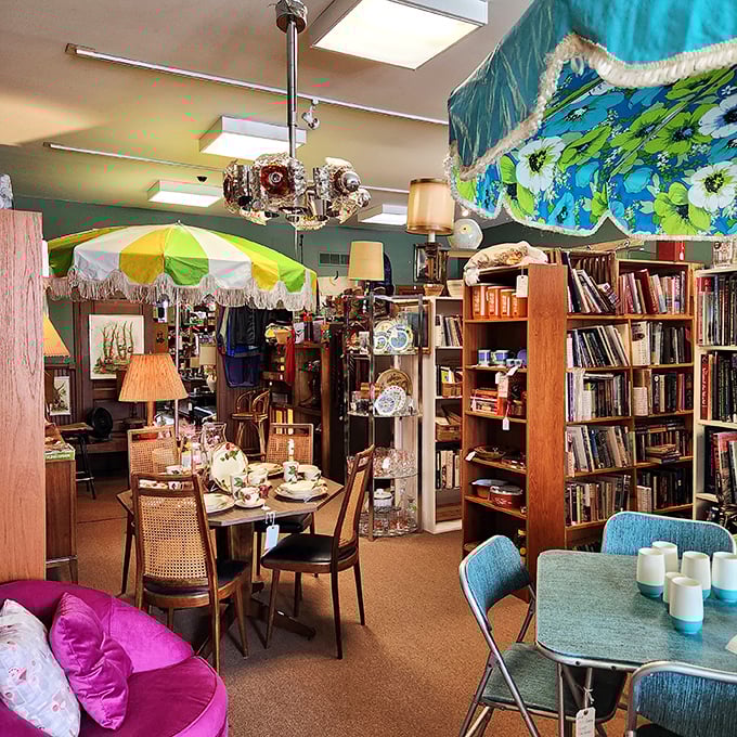 Salt City Antiques offers a treasure hunter's paradise, with vintage finds and collectibles arranged in organized chaos.