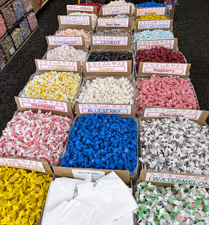 A kaleidoscope of salt water taffy flavors creates an artist's palette of sweetness, from traditional vanilla and strawberry to adventurous sea salt caramel.