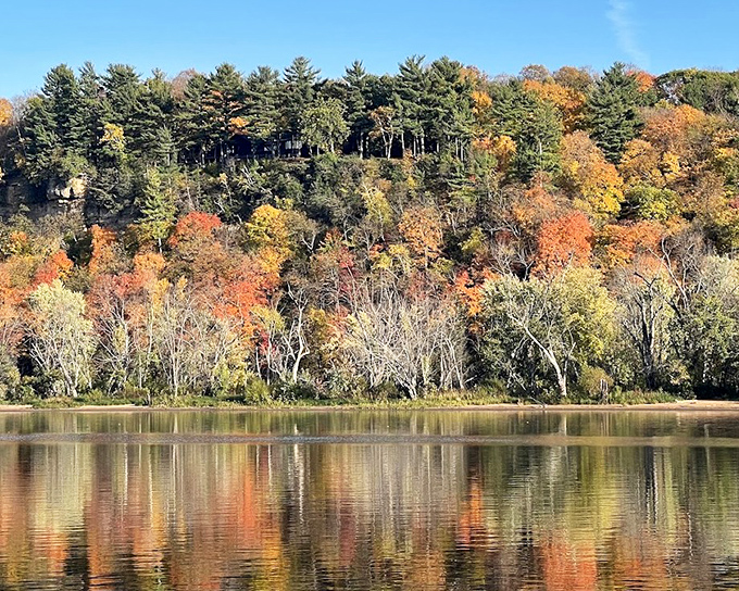 The St. Croix River reflects autumn's fiery palette, creating a double showing of nature's most spectacular seasonal transformation.