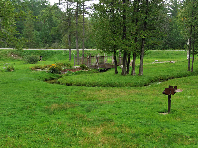 The Pere Marquette District Library welcomes visitors with its modern brick architecture and flowering trees, serving as Clare's community knowledge hub.