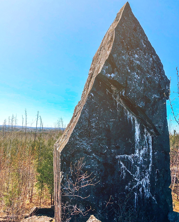 Standing like a prehistoric sentinel, this ancient monolith has witnessed the passing of eons while barely changing its stoic expression.