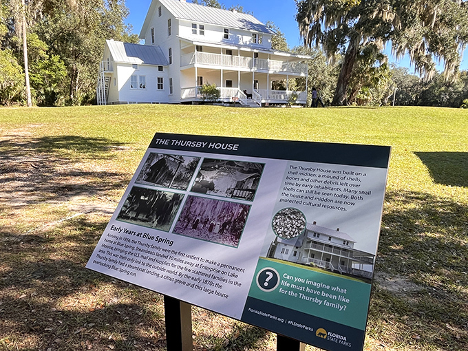 The historic Thursby House stands as a white-painted sentinel, telling tales of 19th-century river commerce when steamboats ruled Florida's waterways.