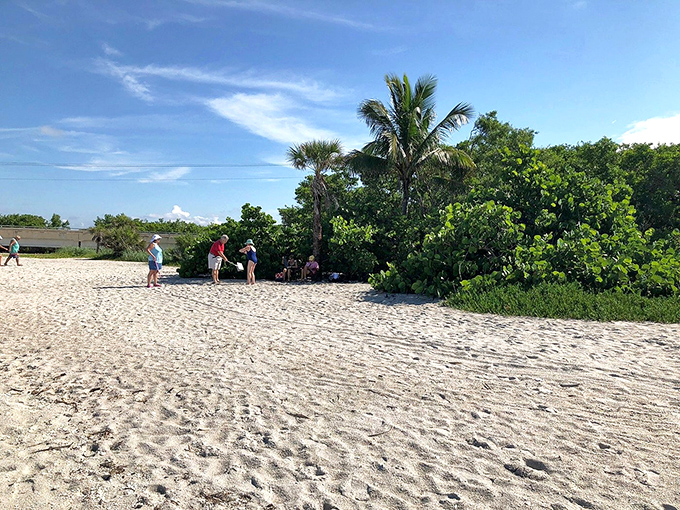Beach visitors engage in the universal language of shell hunting, backs bent in the famous "Sanibel Stoop."