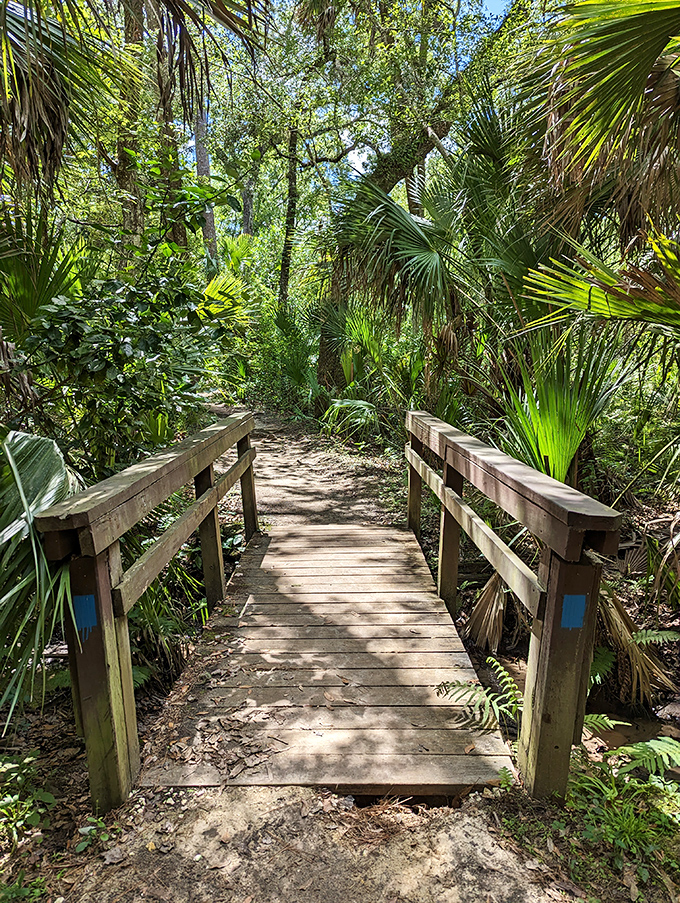 This wooden bridge isn't just crossing a stream &ndash; it's crossing from your everyday world into a pocket of Florida that time forgot.