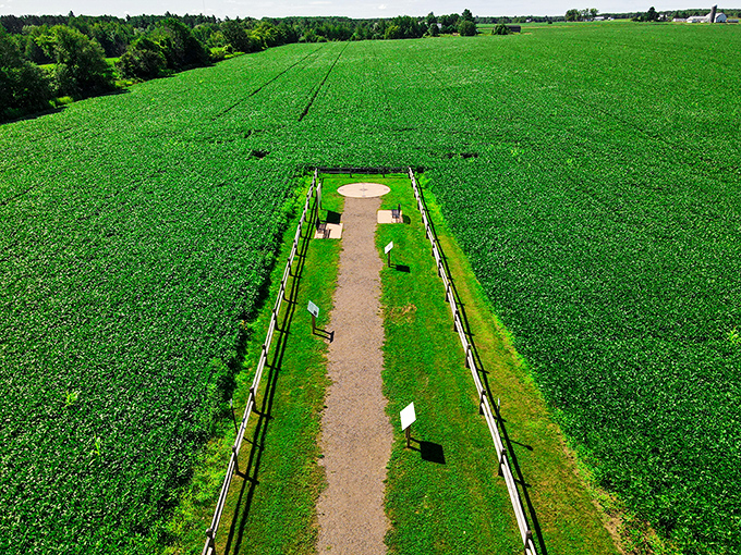 From above, the marker looks like a target in a sea of green, nature's way of saying "X marks the spot."