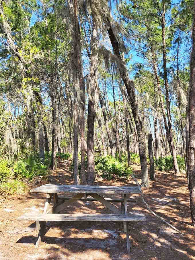 Peaceful benches scattered throughout the park invite you to sit, breathe, and remember what relaxation actually feels like.