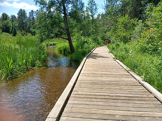 A wooden boardwalk guides adventurers through wetlands teeming with life, offering intimate glimpses into Itasca's delicate ecosystems
