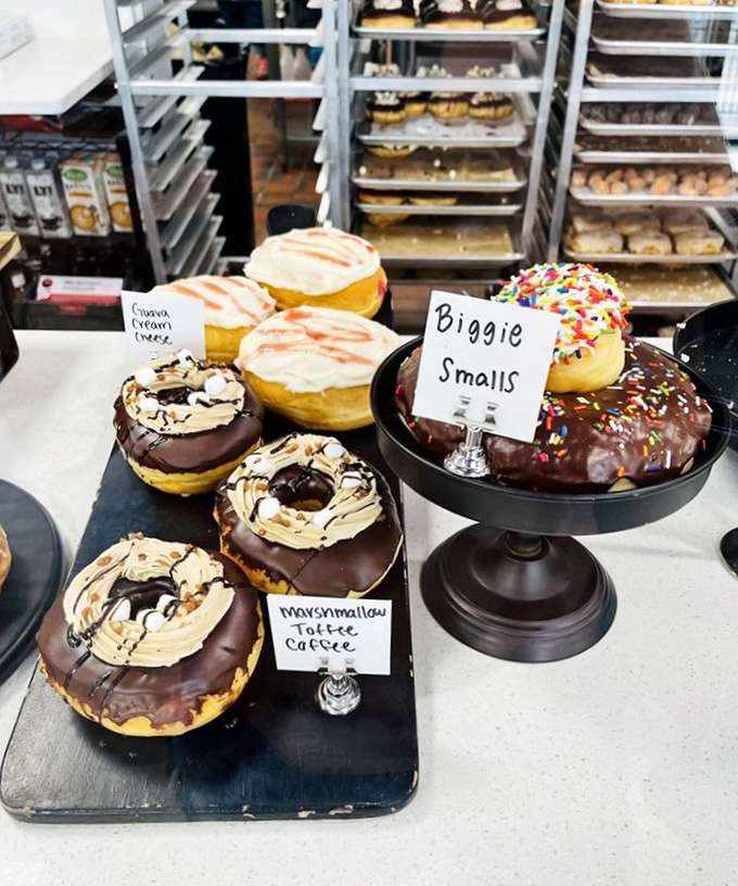 From marshmallow toffee to peanut-covered delights, this lineup shows that variety truly is the spice of life and doughnuts.