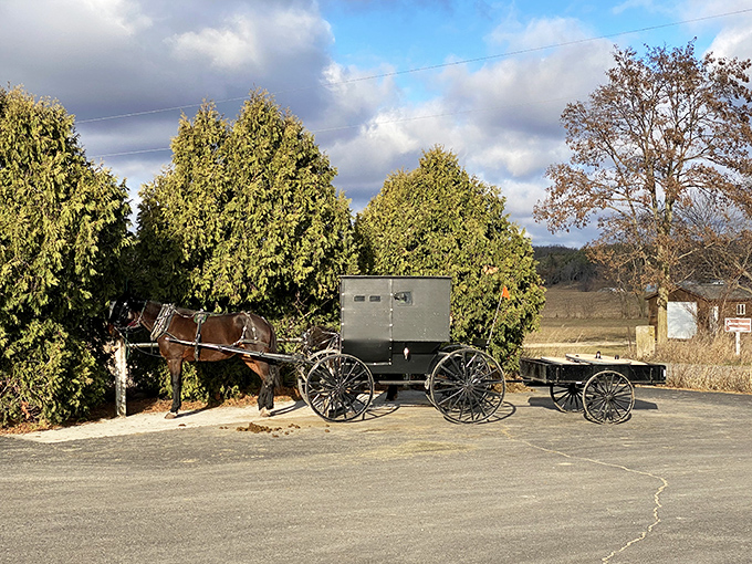 The parking lot accommodates all forms of transportation &ndash; including this horse and buggy that isn't for show but someone's actual ride home.