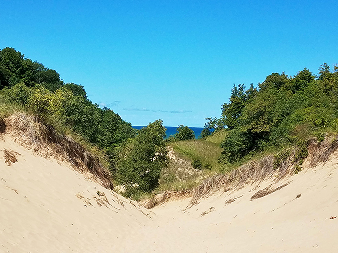 Nature's rollercoaster of sand creates dramatic dunes, sculpted by centuries of wind and shaped into magnificent golden mountains.