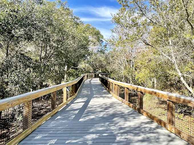 This pathway through the trees invites you to slow down and actually notice things, a radical concept in our hurry-up world that deserves a comeback tour.