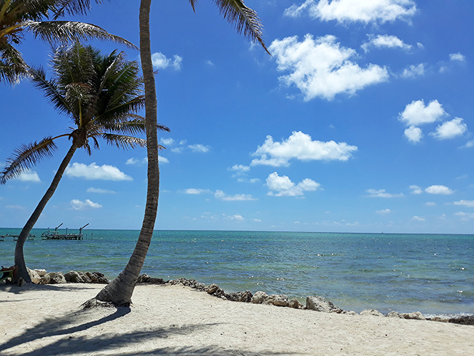 The classic Florida Keys postcard come to life: leaning palms, sandy shores, and waters that transition from turquoise to deep blue.