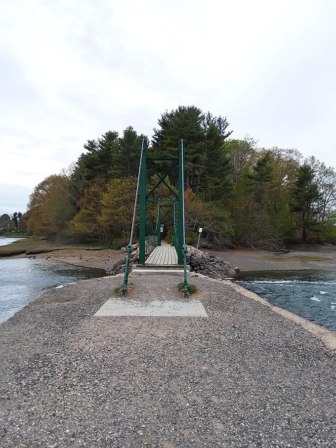 Summer's perfect day: A bridge stretches toward an island of green, where adventure awaits just across the sun-dappled water.