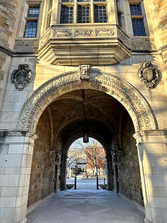 Craftsmen carved these details when patience was still considered a virtue. Each tiny flourish is basically showing off to future generations.