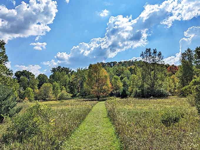 A simple trail cuts through meadow grasses, inviting explorers to discover what lies beyond the bend in Michigan's hidden paradise.