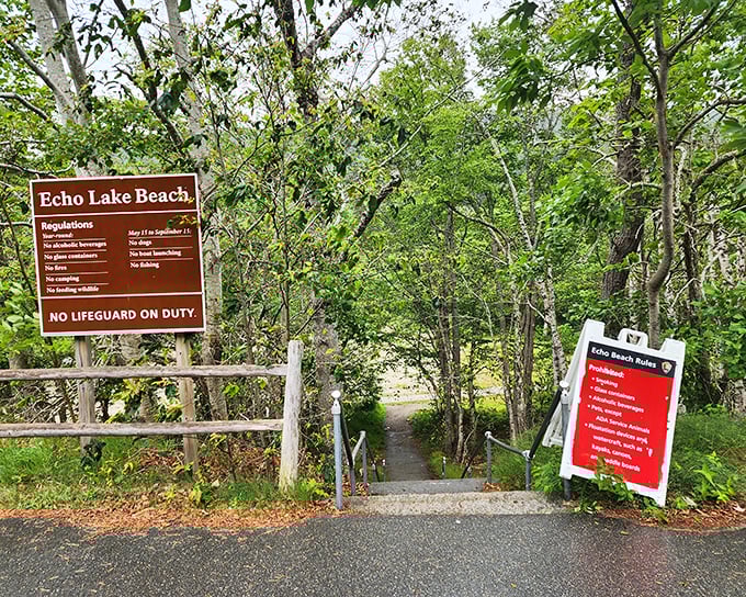 Welcome to paradise &ndash; the entrance path beckons visitors through a natural gateway of trees toward aquatic bliss.