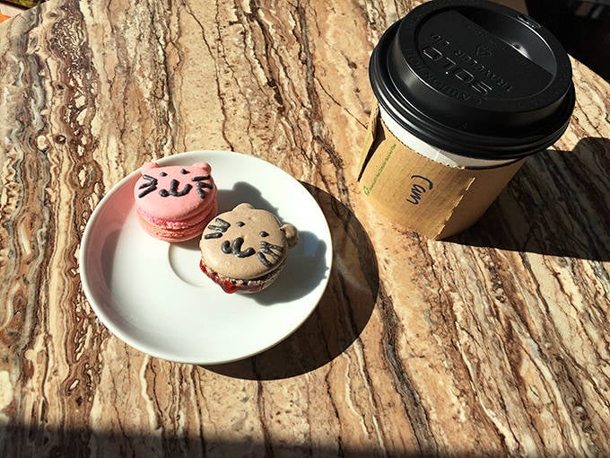 Cat-shaped macarons that are almost too cute to eat... almost. These pink and white treats combine French patisserie with feline charm.