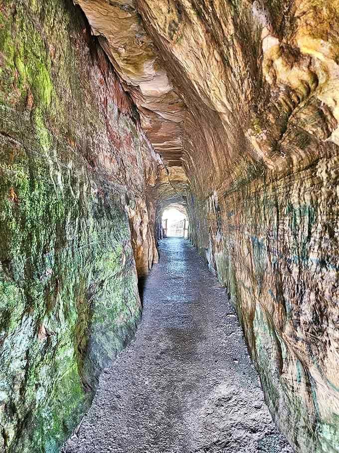The man-made tunnel through ancient rock offers cool respite on summer days, whispering geological secrets to those who listen.