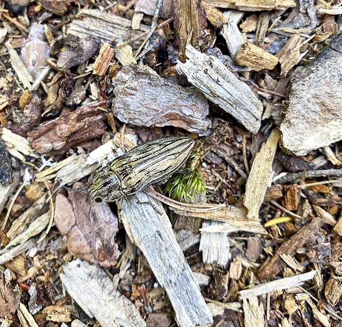 Even the smallest creatures make their home along the trail &ndash; nature's reminder that beauty exists at every scale.