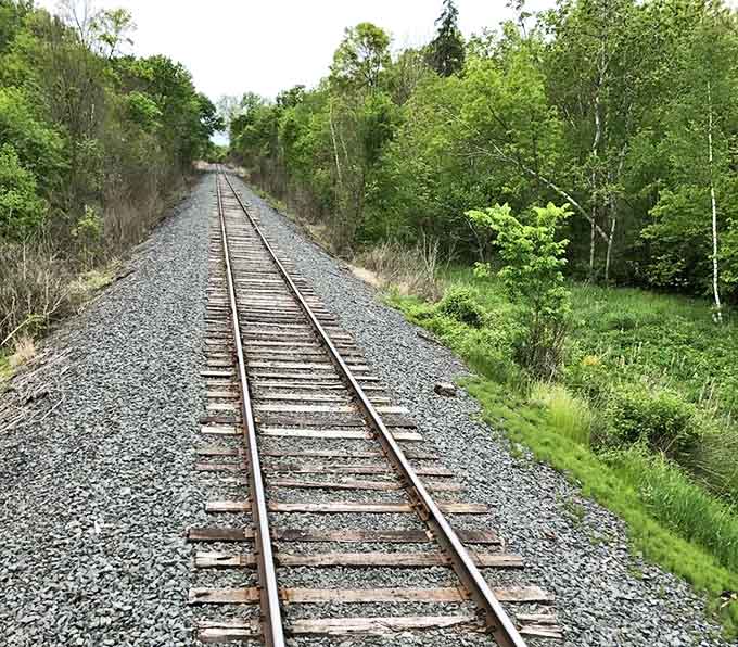 Rails disappear into the distance, cutting through Wisconsin's lush countryside like a silver ribbon unwinding through nature's vibrant tapestry.