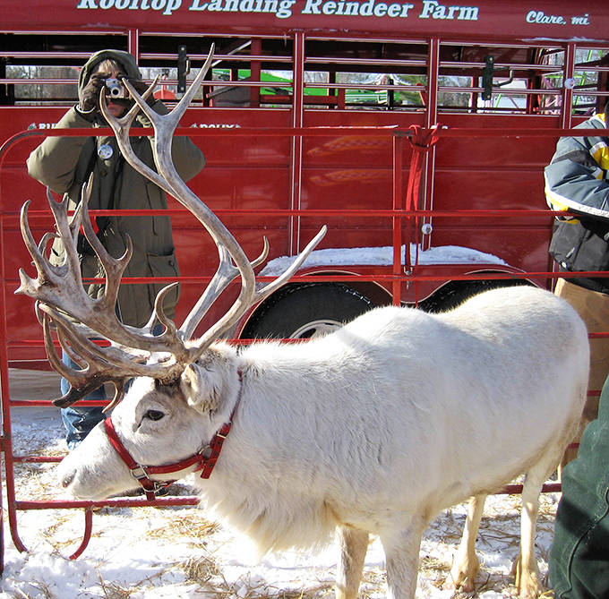 The Fire Garden becomes winter's living room, where strangers become friends over hot chocolate and shared stories of downhill adventures.