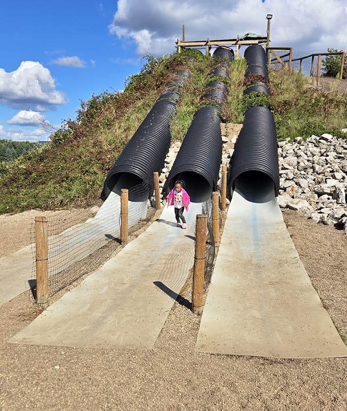 These colorful tubes of joy deliver squealing children at impressive velocities, proving gravity is still the best free entertainment.
